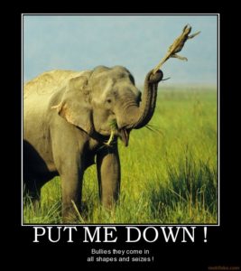 National Wildlife Day Memes - Nerd News Social