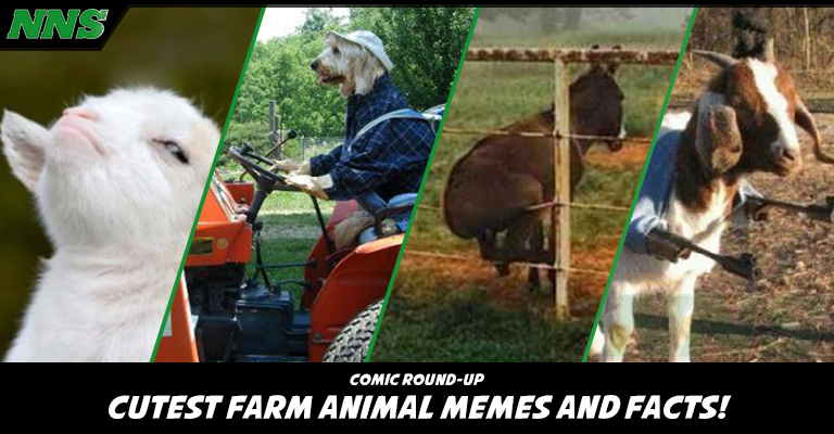 Cutest Farm Animal Memes and Facts! - Nerd News Social